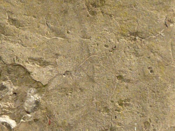 rough concrete texture 0045 - Texturelib