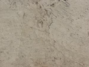 rough concrete textures - Texturelib