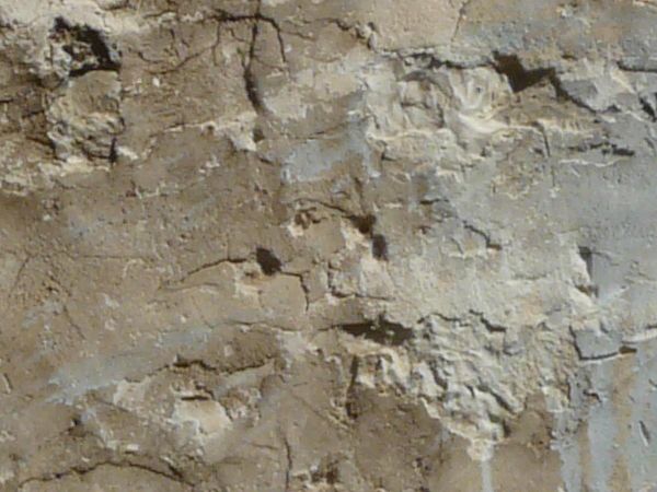 rough concrete texture 0066 - Texturelib