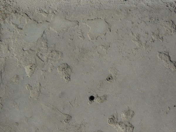 rough concrete texture 0067 - Texturelib