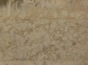 rough concrete textures - Texturelib