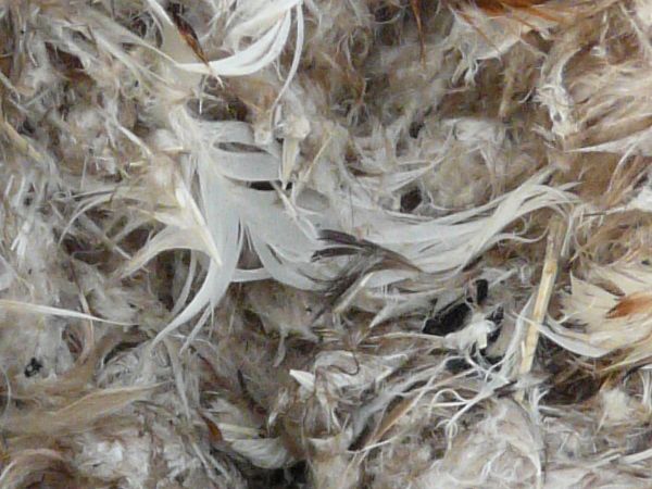 various debris and garbage texture 0001 - Texturelib