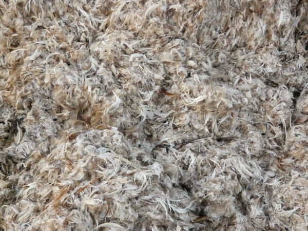 various debris and garbage texture 0001 - Texturelib