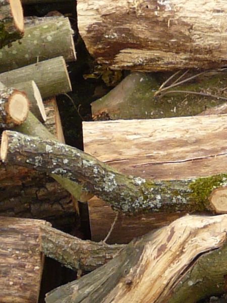 various debris and garbage texture 0014 - Texturelib