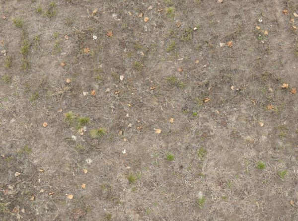 arid texture 0010 - Texturelib