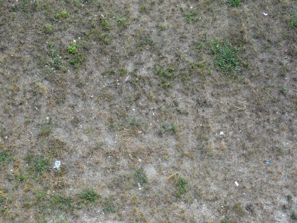 rough dry ground texture 0018 - Texturelib