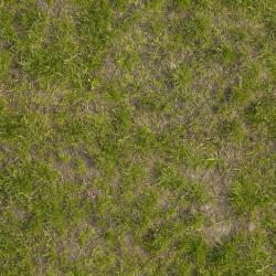 grass textures - Texturelib