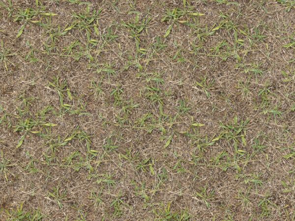 dry ground texture 0057 - Texturelib