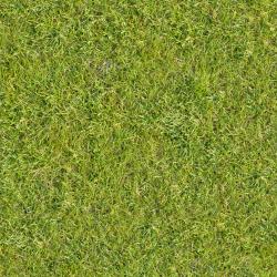 grass textures - Texturelib