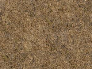 grass textures - Texturelib
