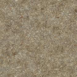 grass textures - Texturelib