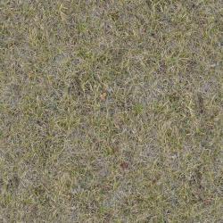grass textures - Texturelib