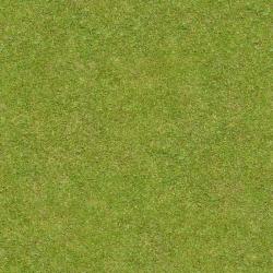 grass textures - Texturelib