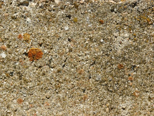 fine brown pebbles texture 0012 - Texturelib