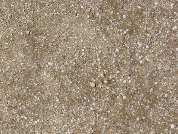 pebbles on brown soil texture 0019 - Texturelib