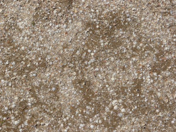 pebbles on brown soil texture 0019 - Texturelib