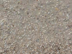 pebble textures - Texturelib