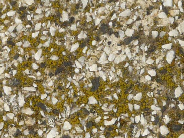 mossy pebbles texture 0030 - Texturelib