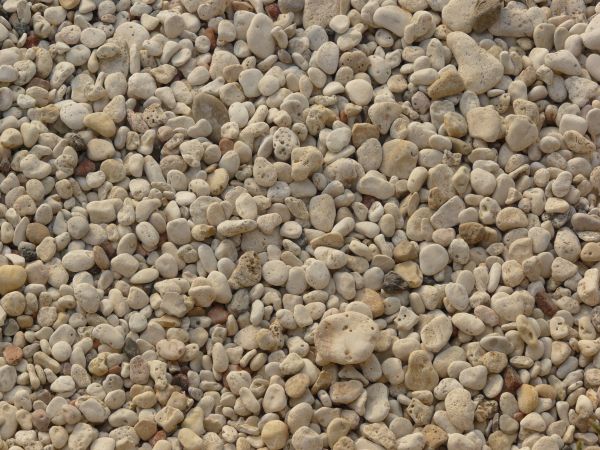 tan pebbles texture 0037 - Texturelib