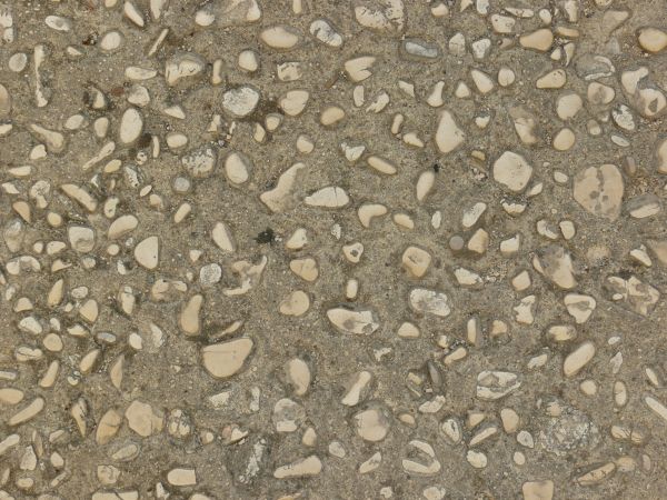 pebbles in cement texture 0040 - Texturelib