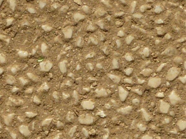 white pebbles texture 0041 - Texturelib