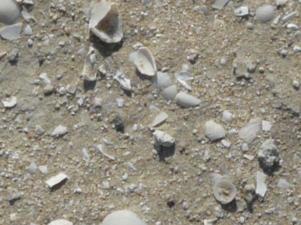 sparse pebbles texture 0043 - Texturelib
