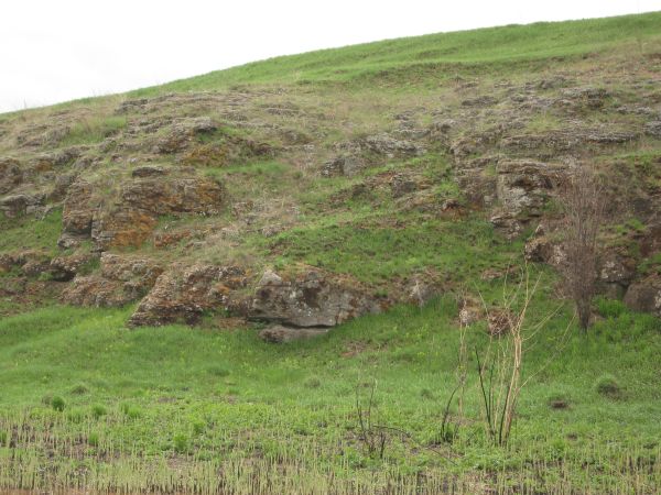 bright green slope texture 0036 - Texturelib