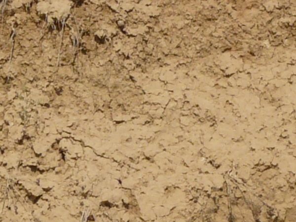 tan dirt slope texture 0051 - Texturelib