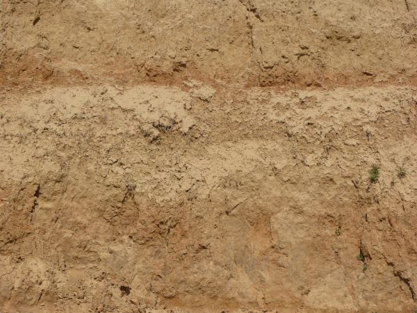 tan dirt slope texture 0051 - Texturelib