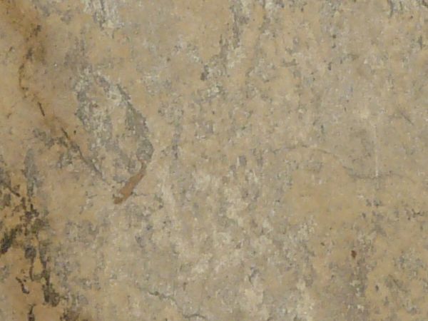 worn concrete texture 0011 - Texturelib
