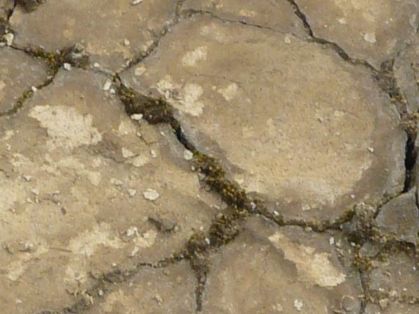 aged cracked concrete 0029 - Texturelib