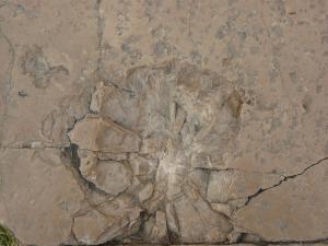 Free textures - Texturelib