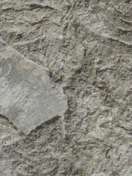 irregular grey concrete 0012 - Texturelib