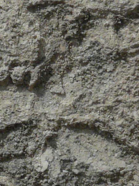 irregular covered concrete 0015 - Texturelib