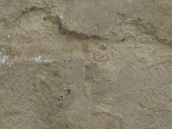 concrete with broken shell 0027 - Texturelib