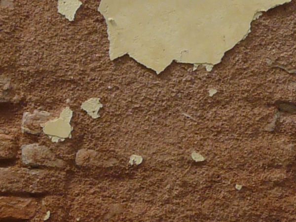 covered brick wall 0035 - Texturelib