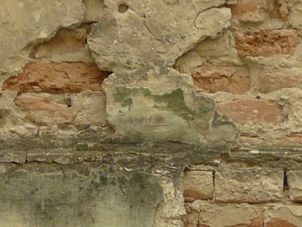 texture 0038 - Texturelib