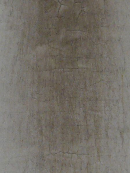 leaking texture 0051 - Texturelib