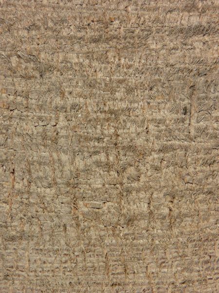 bark texture 0034 - Texturelib