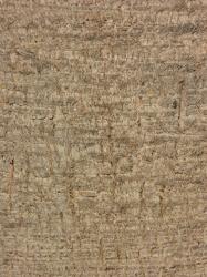 bark textures - Texturelib