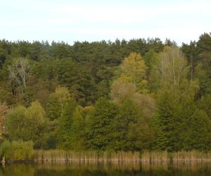 nature textures - Texturelib