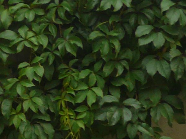 texture 0011 - Texturelib