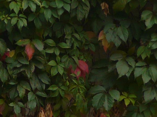 texture 0011 - Texturelib