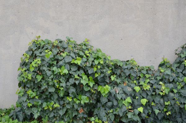 texture 0017 - Texturelib