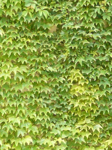 texture 0019 - Texturelib