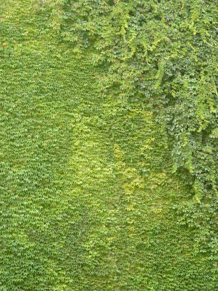 texture 0019 - Texturelib