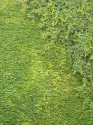 Free textures - Texturelib