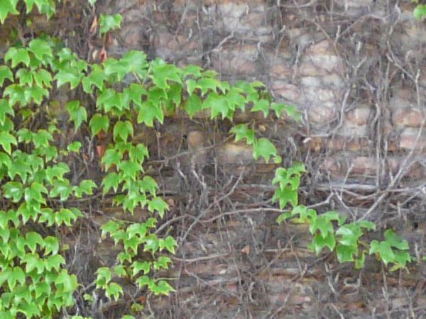 texture 0021 - Texturelib