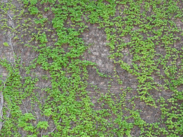 texture 0021 - Texturelib