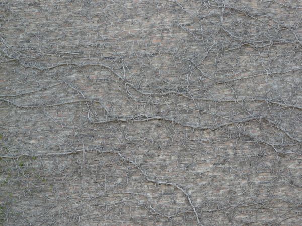texture 0022 - Texturelib